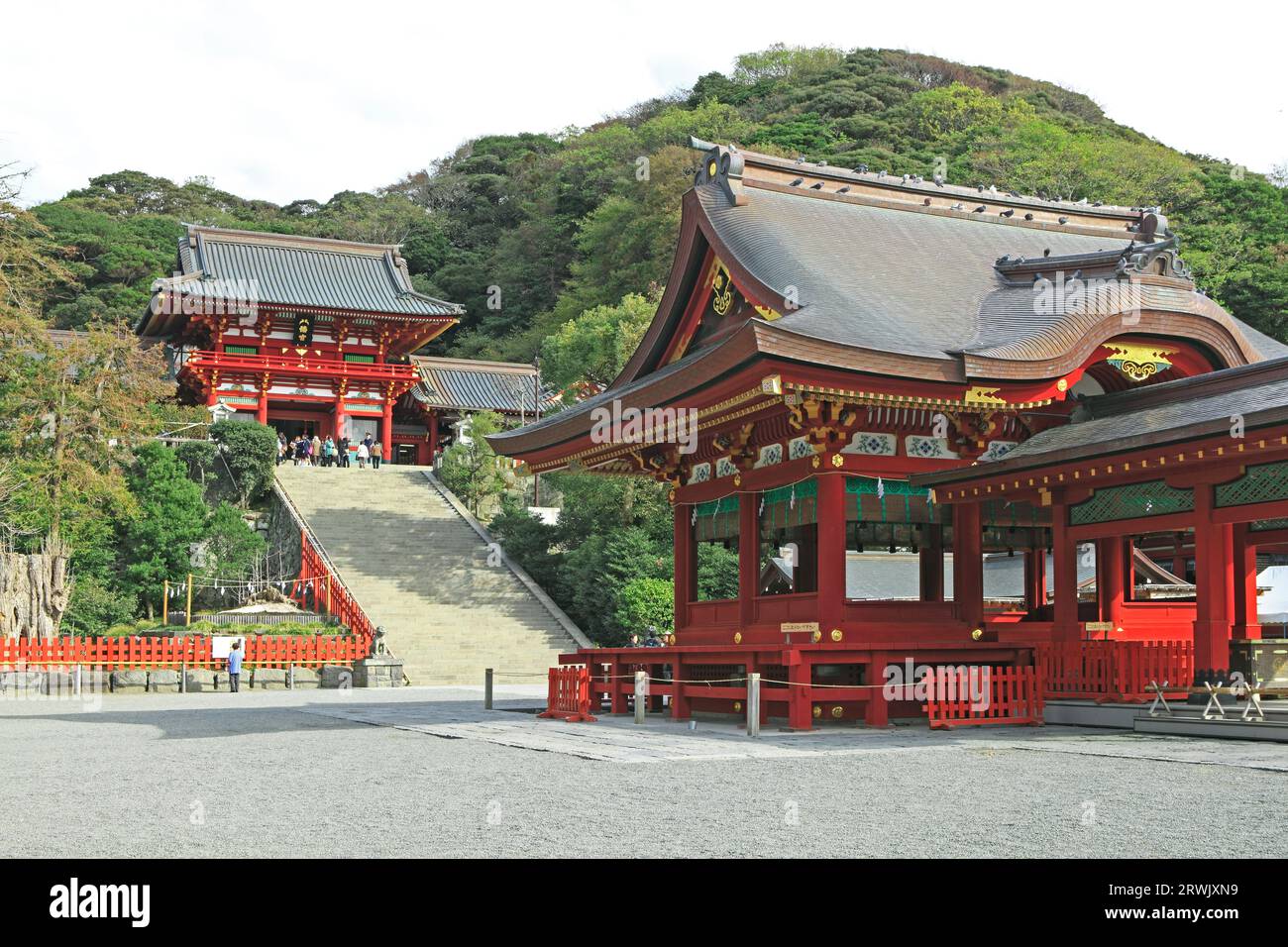 Tsurugaoka Hachimangu Shrine Stock Photo - Alamy