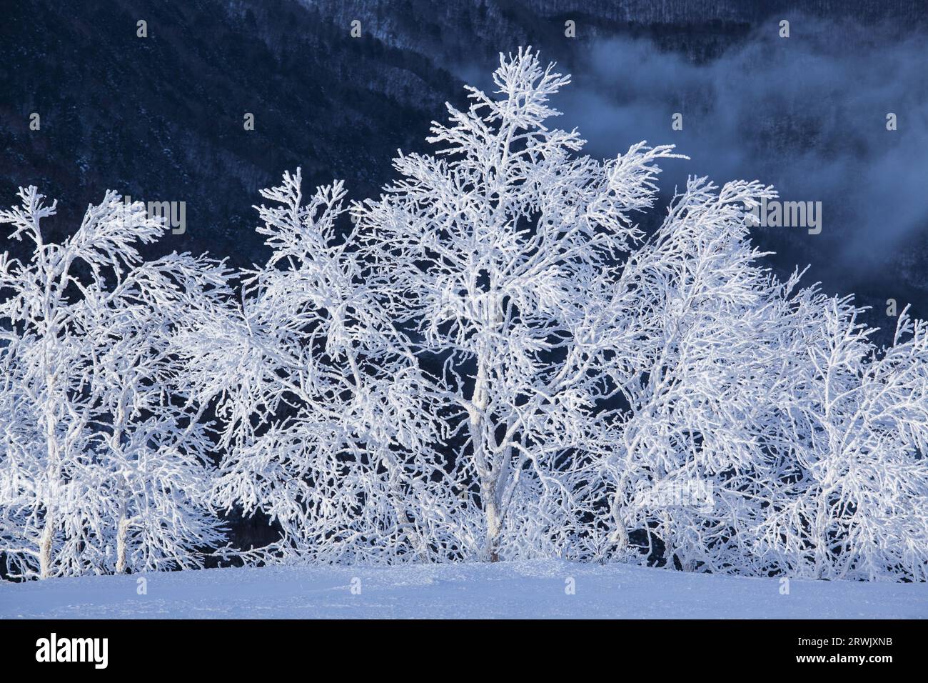 Fog and ice Stock Photo - Alamy