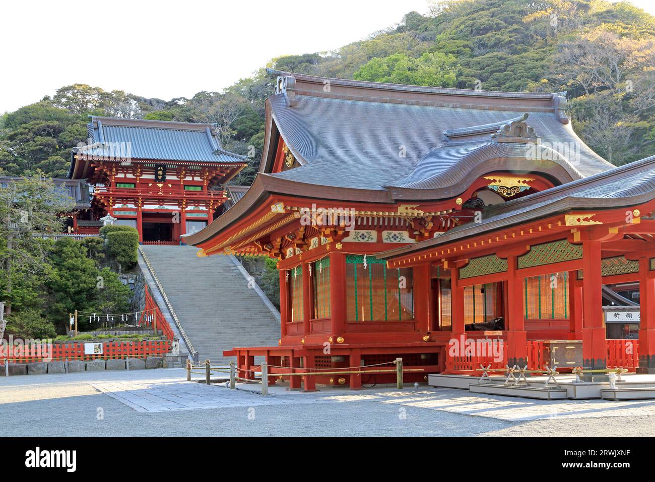 Tsurugaoka Hachimangu Shrine Stock Photo - Alamy
