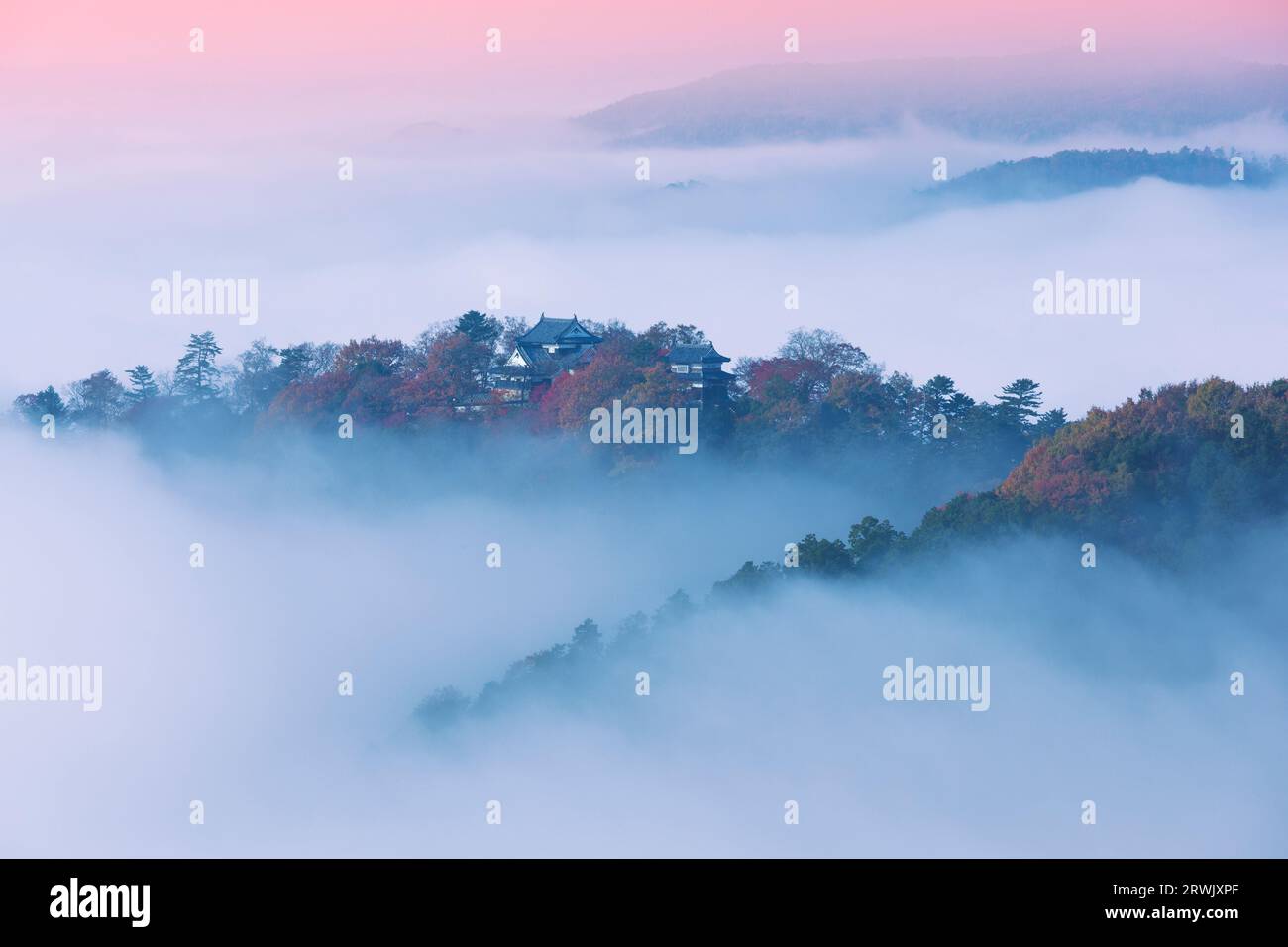 Bicchu Matsuyama Castle and Sea of Clouds Stock Photo - Alamy