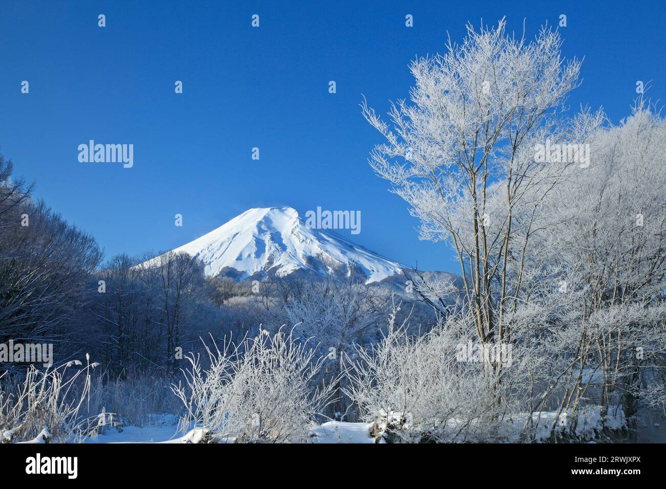 Foggy ice and Mt. Fuji Stock Photo - Alamy