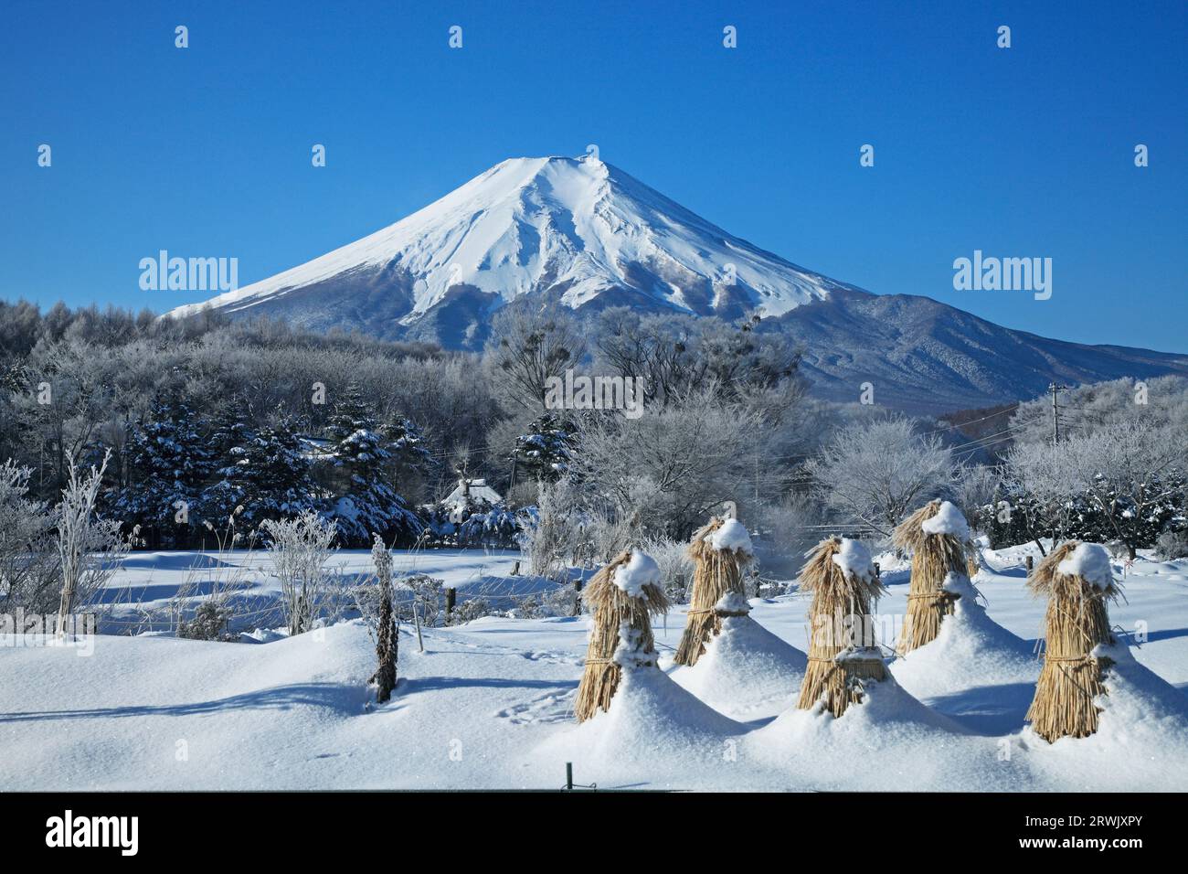 Foggy ice and Mt. Fuji Stock Photo - Alamy
