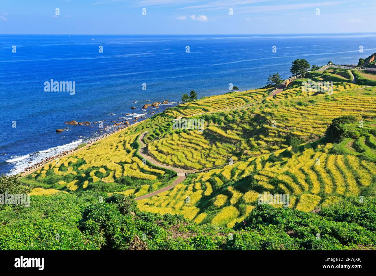 Wajima hi-res stock photography and images - Alamy