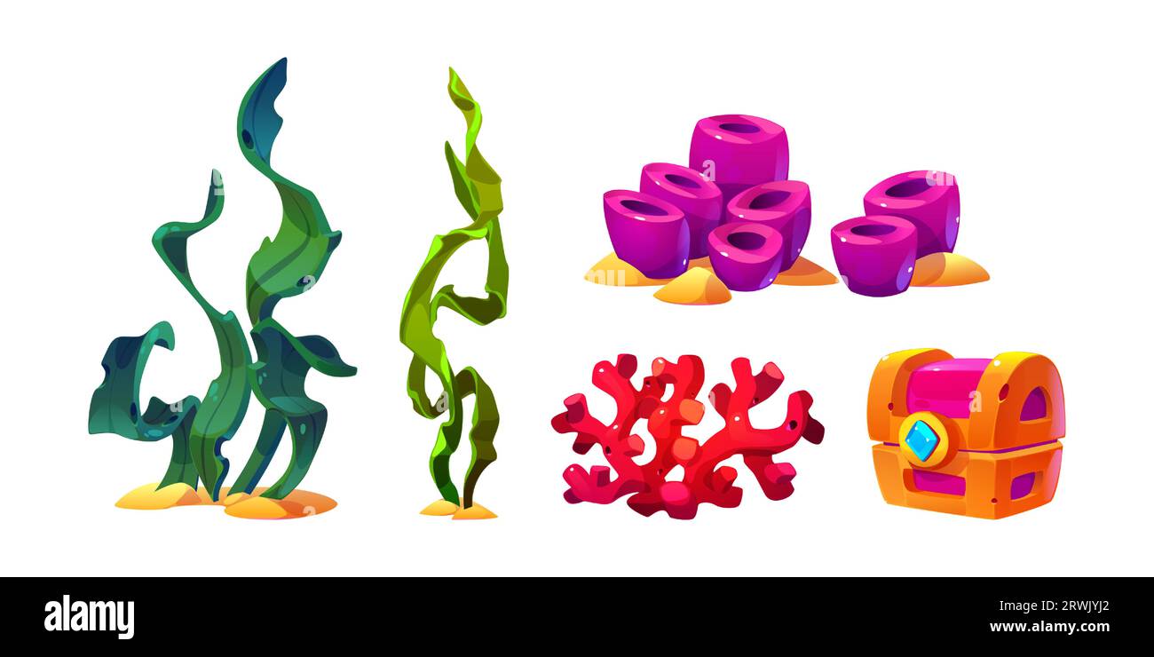 Coral, seaweed, sponge plant for underwater illustration vector. Marine ...