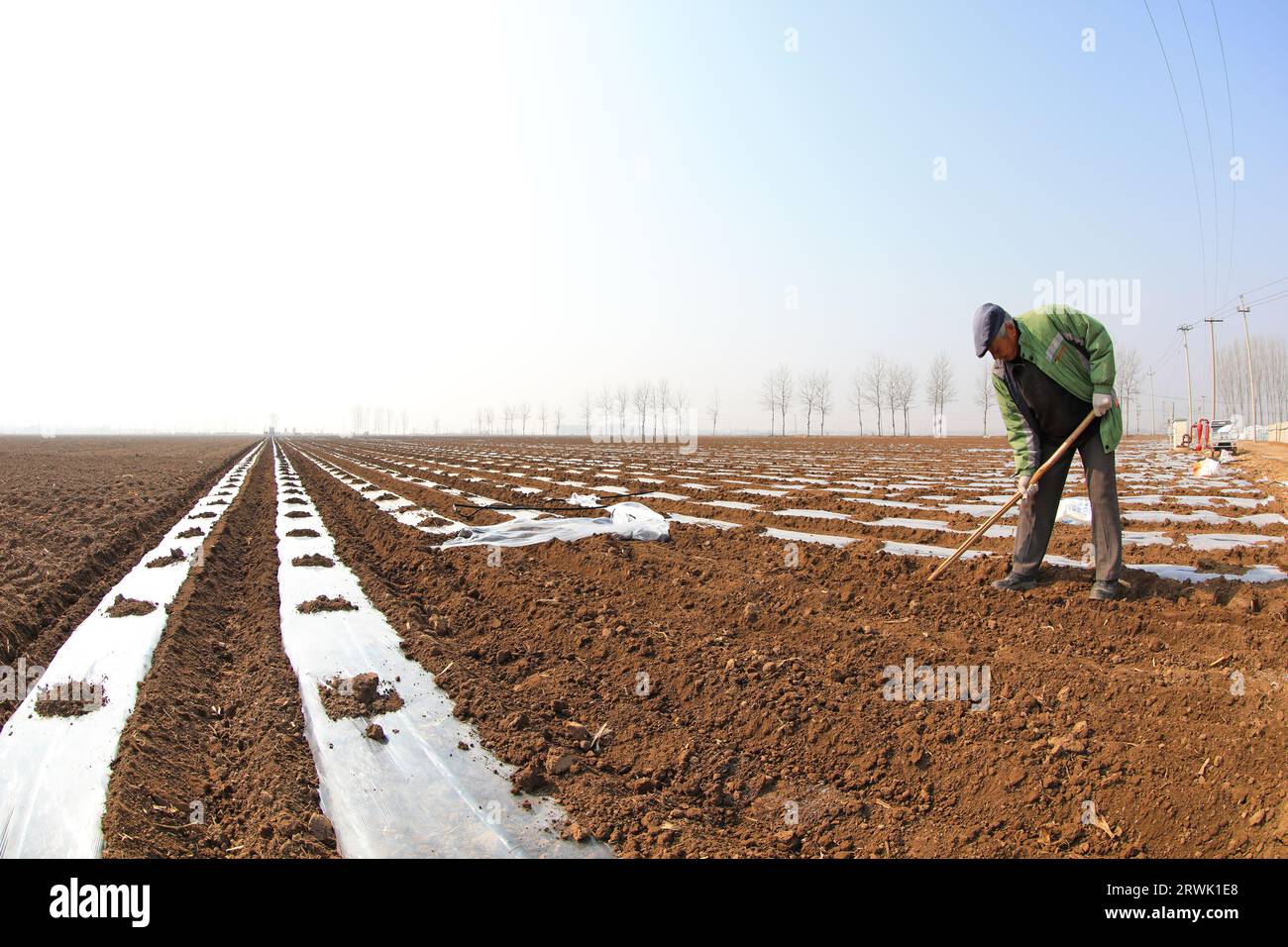 LUANNAN COUNTY, China - March 9, 2022: Farmers are planting plastic ...