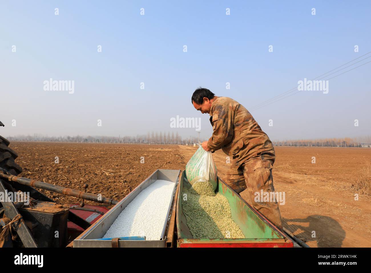 LUANNAN COUNTY, China - March 9, 2022: Farmers add fertilizer and pea ...