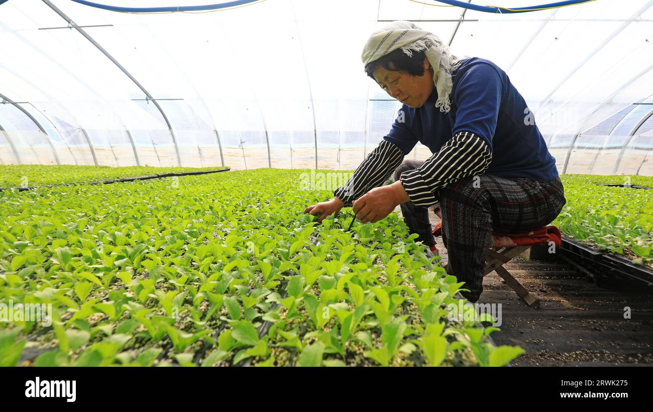 North china farms hi-res stock photography and images - Alamy
