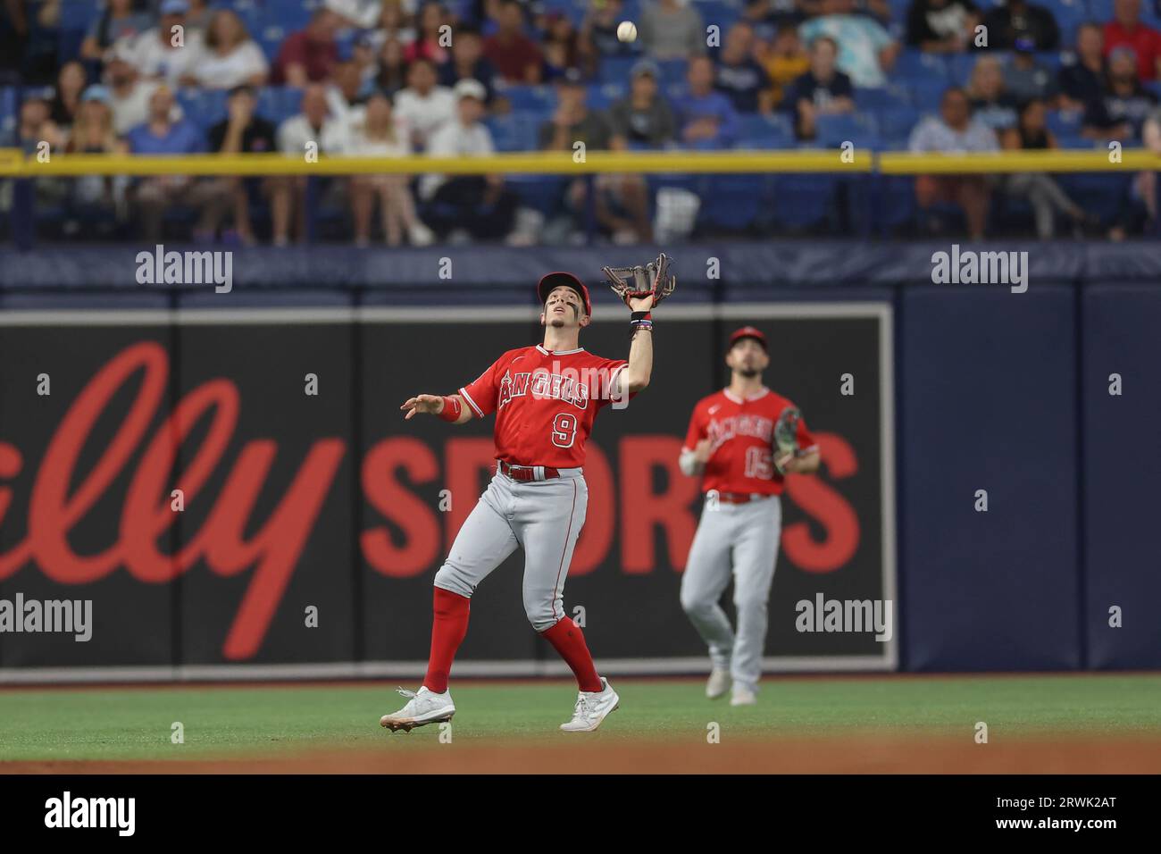 St. Petersburg, FL USA; Los Angeles Angels shortstop Zach Neto (9 ...