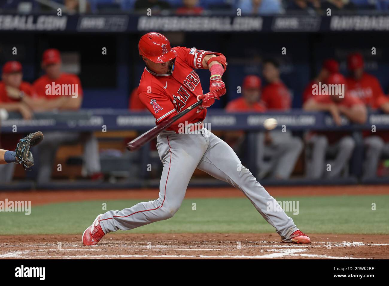 Logan ohoppe hi-res stock photography and images - Alamy