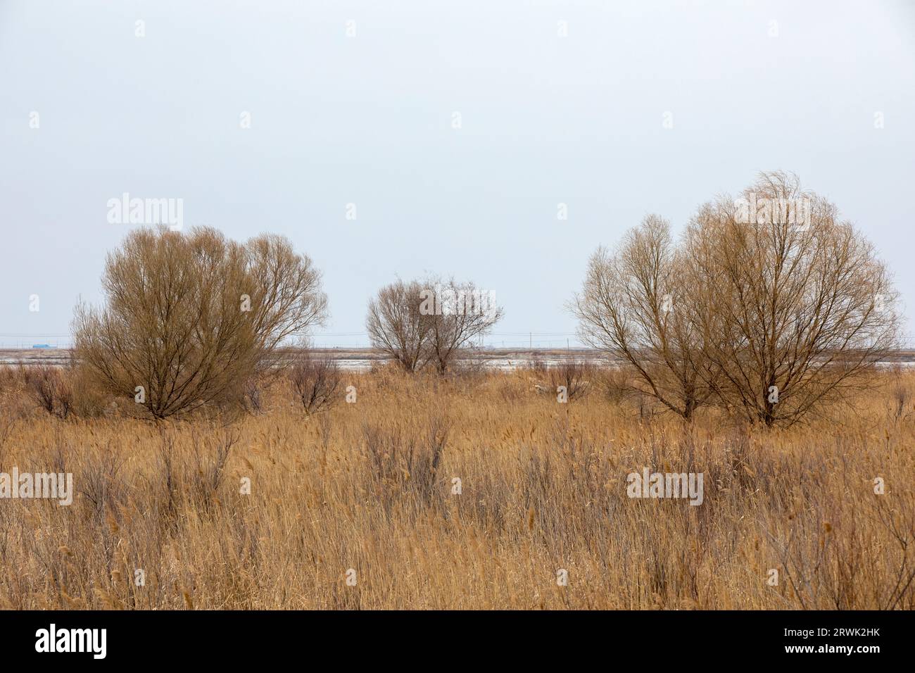 Wetland dry season scenery hi-res stock photography and images - Alamy