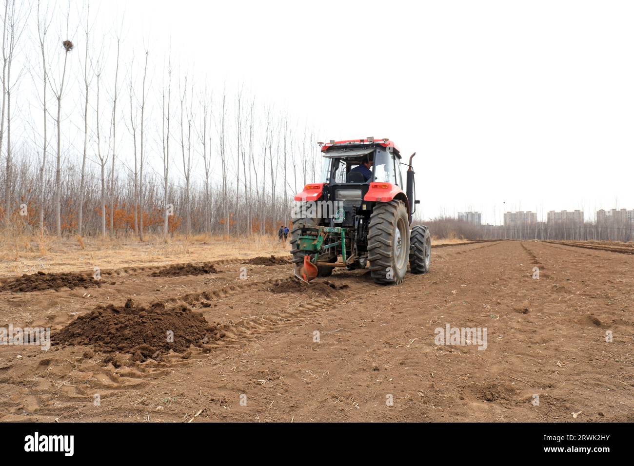 China tree planting afforestation hi-res stock photography and images ...