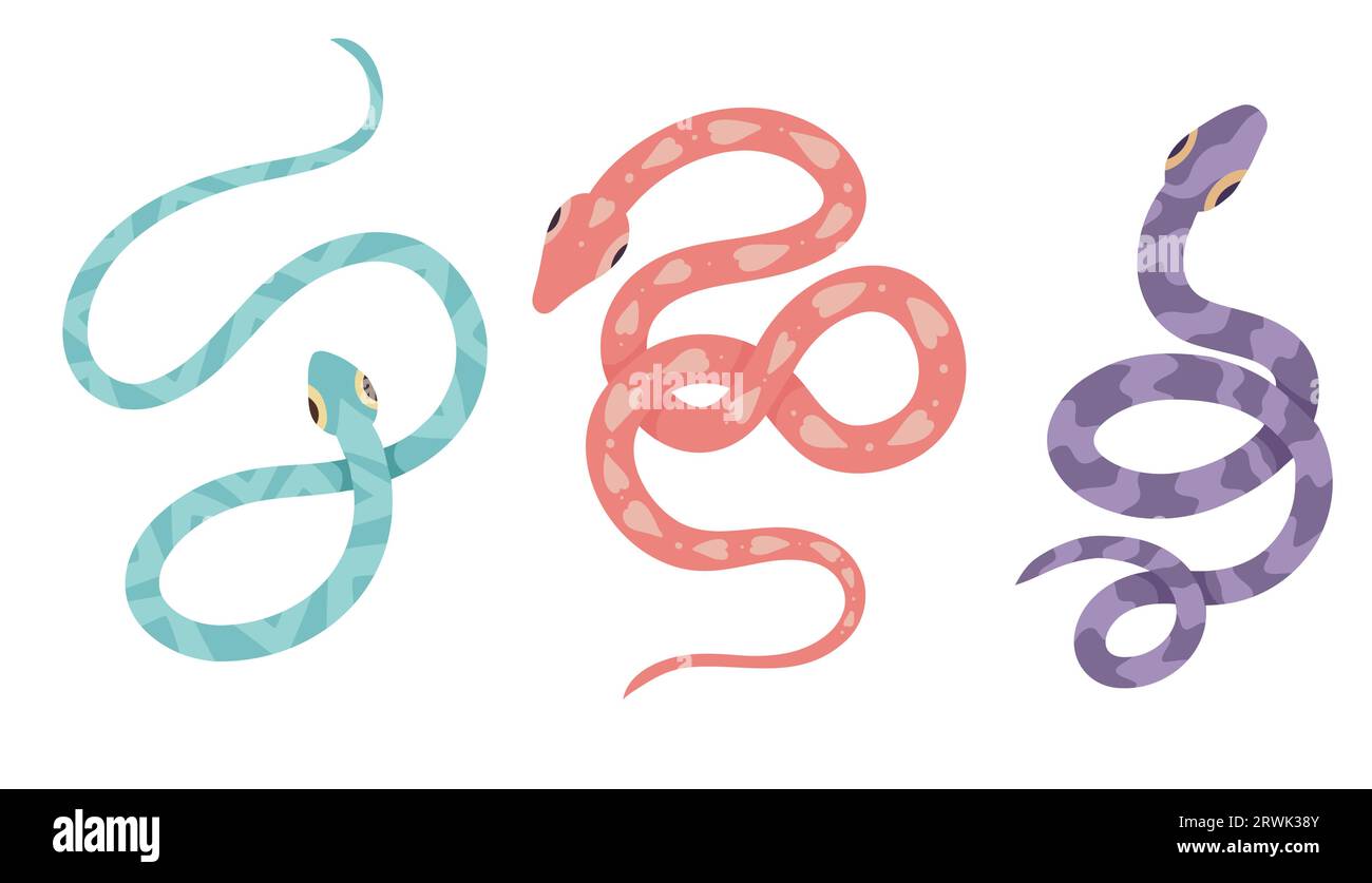 Vector set of cartoon snakes isolated from white background. Clipart ...