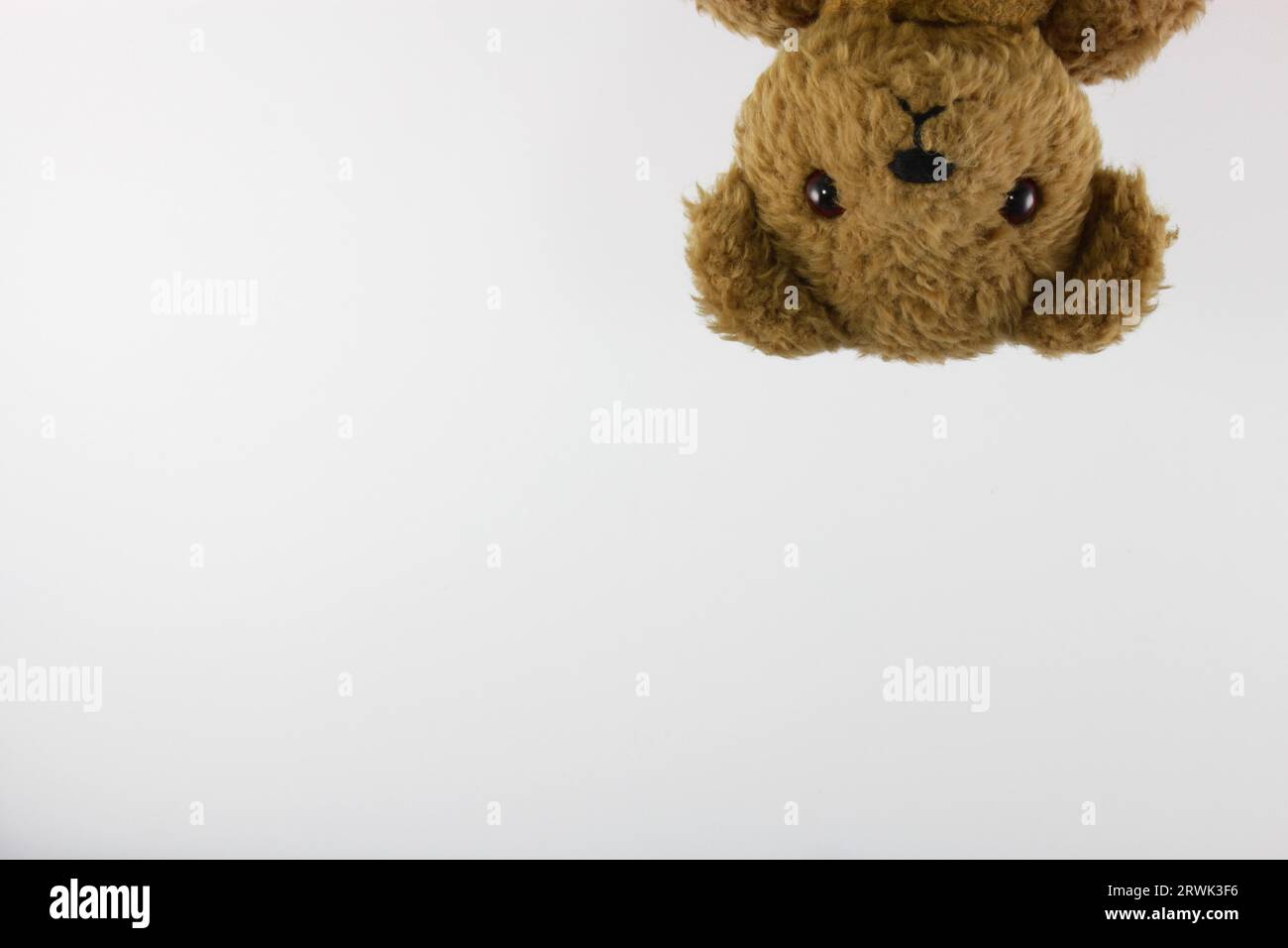 Teddy view hi-res stock photography and images - Alamy