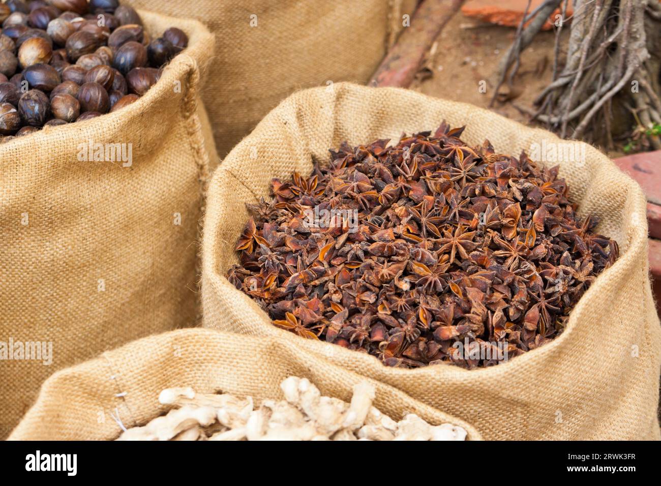 Kerala nutmeg hi-res stock photography and images - Alamy