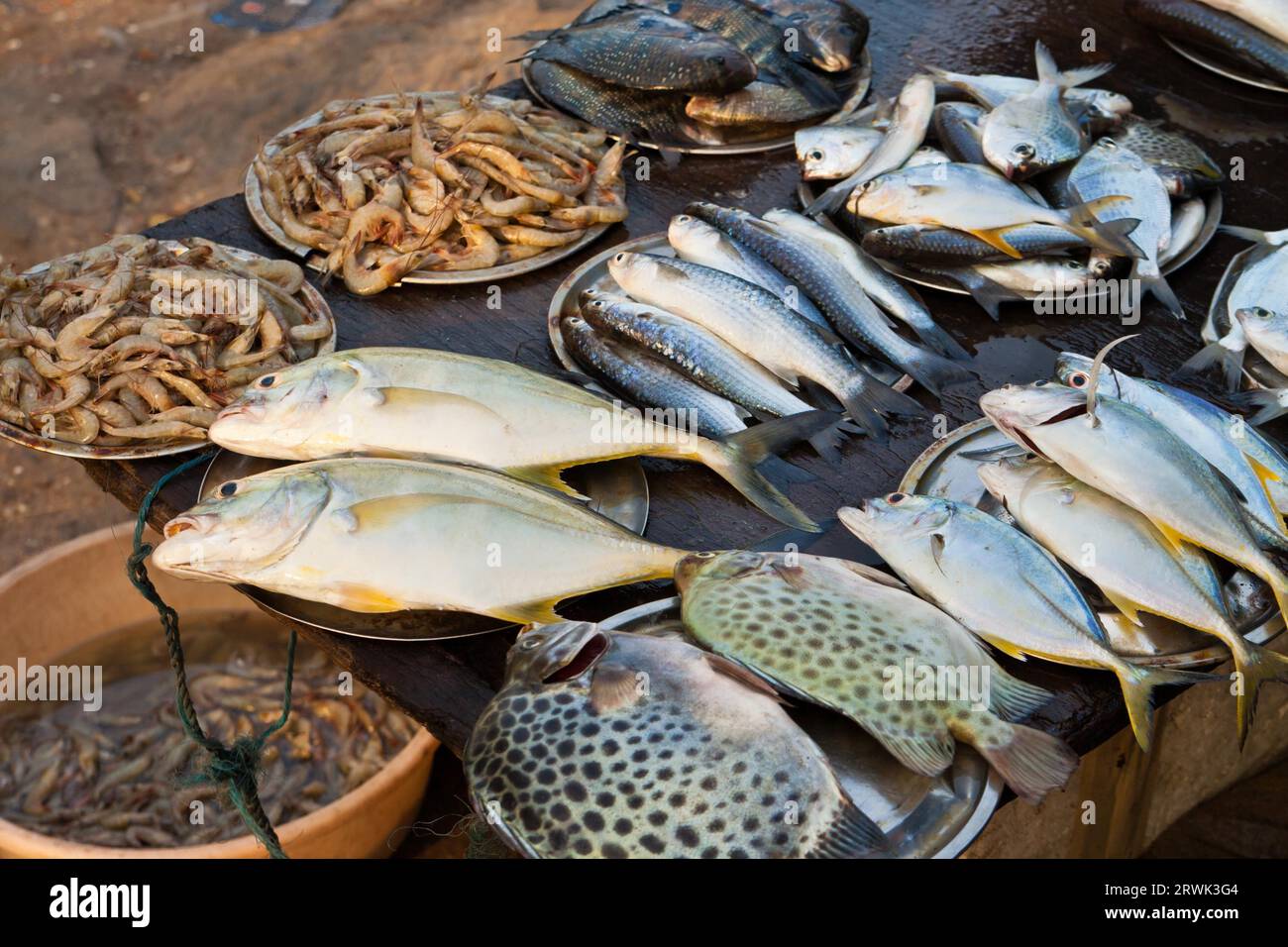 Fish market in Kerala, India, Fish market in Kerala, India Stock Photo ...