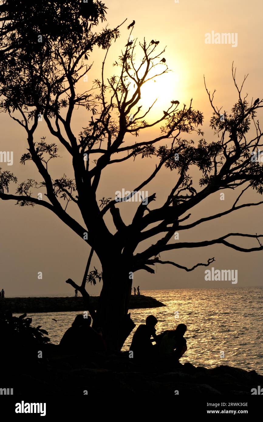 Evening in India, Evening in India Stock Photo - Alamy