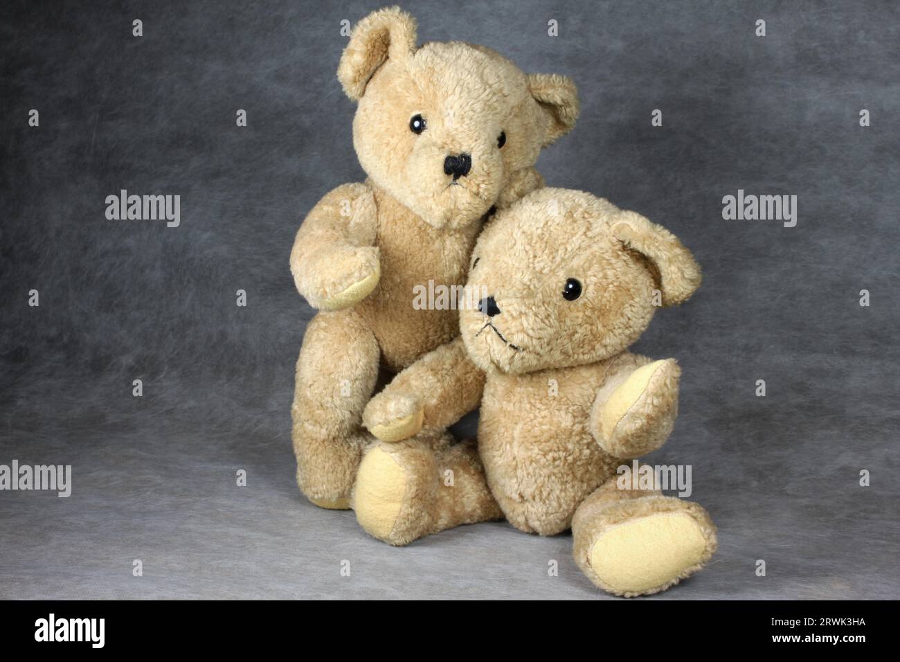 Stuffed teddies hi-res stock photography and images - Alamy
