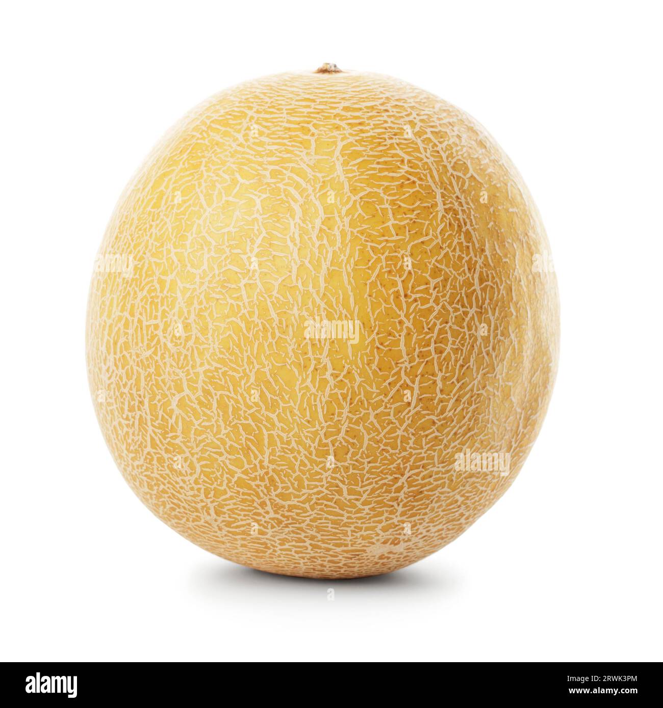 Whole Galia melon isolated on white with shadow Stock Photo - Alamy