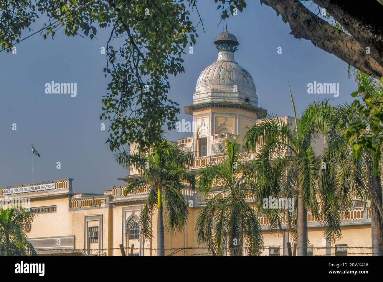 Umbrella palace india hi-res stock photography and images - Alamy