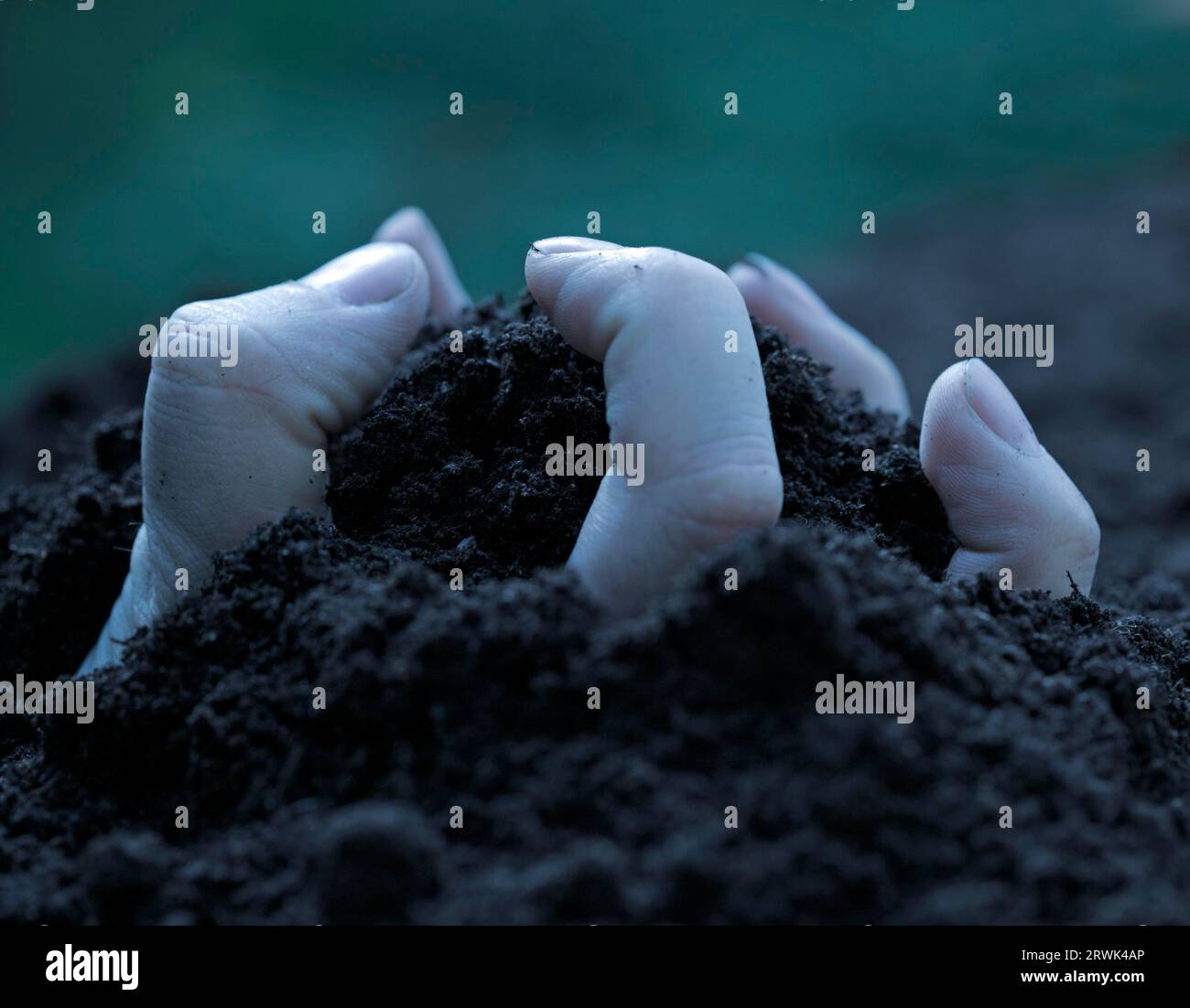 Hand emerging from the ground hi-res stock photography and images - Alamy