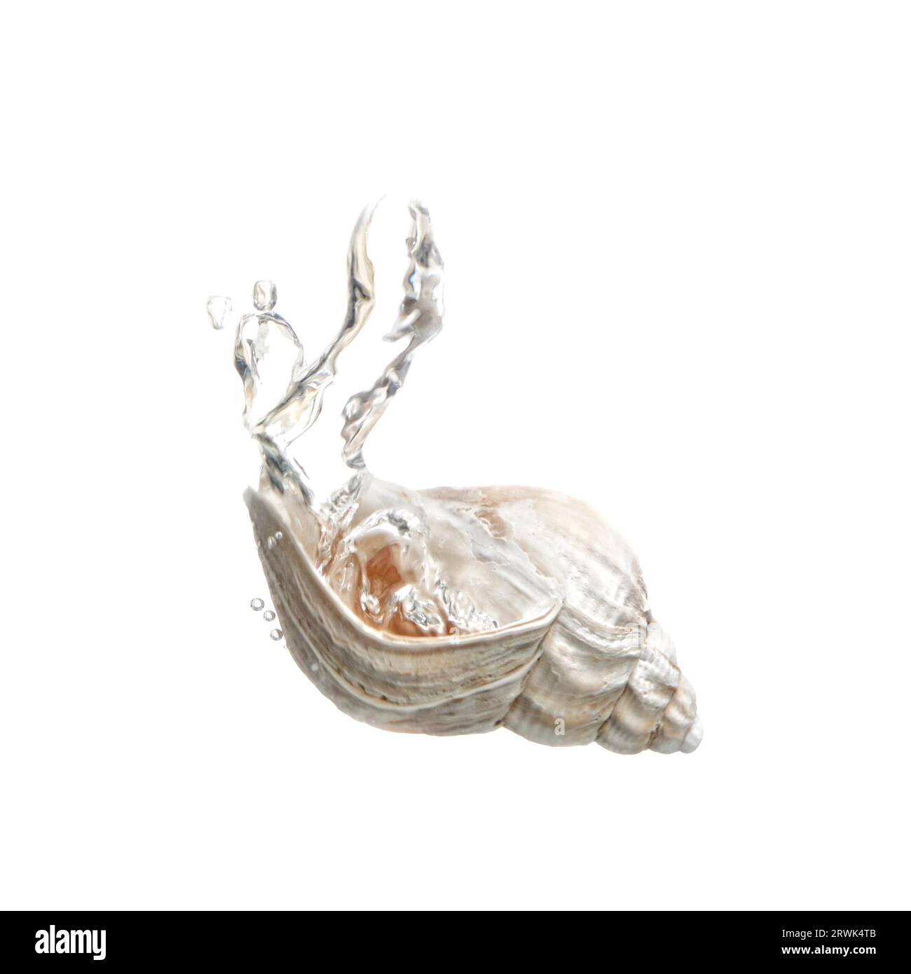Abstract shell Cut Out Stock Images & Pictures - Alamy