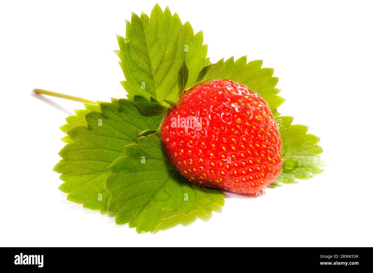 Strawberry nutrition Cut Out Stock Images & Pictures - Alamy