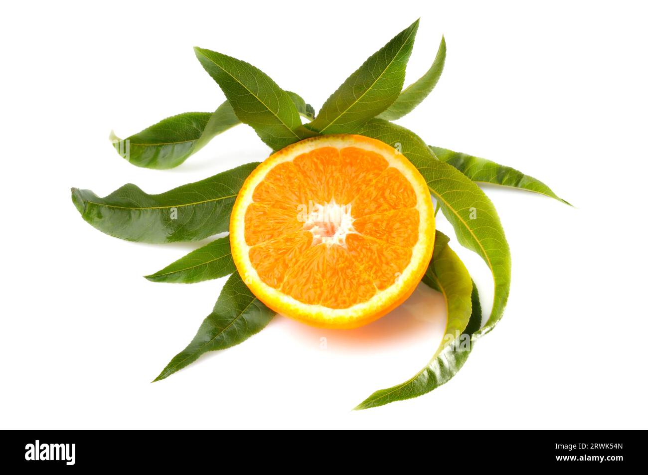 How to cut orange hi-res stock photography and images - Alamy
