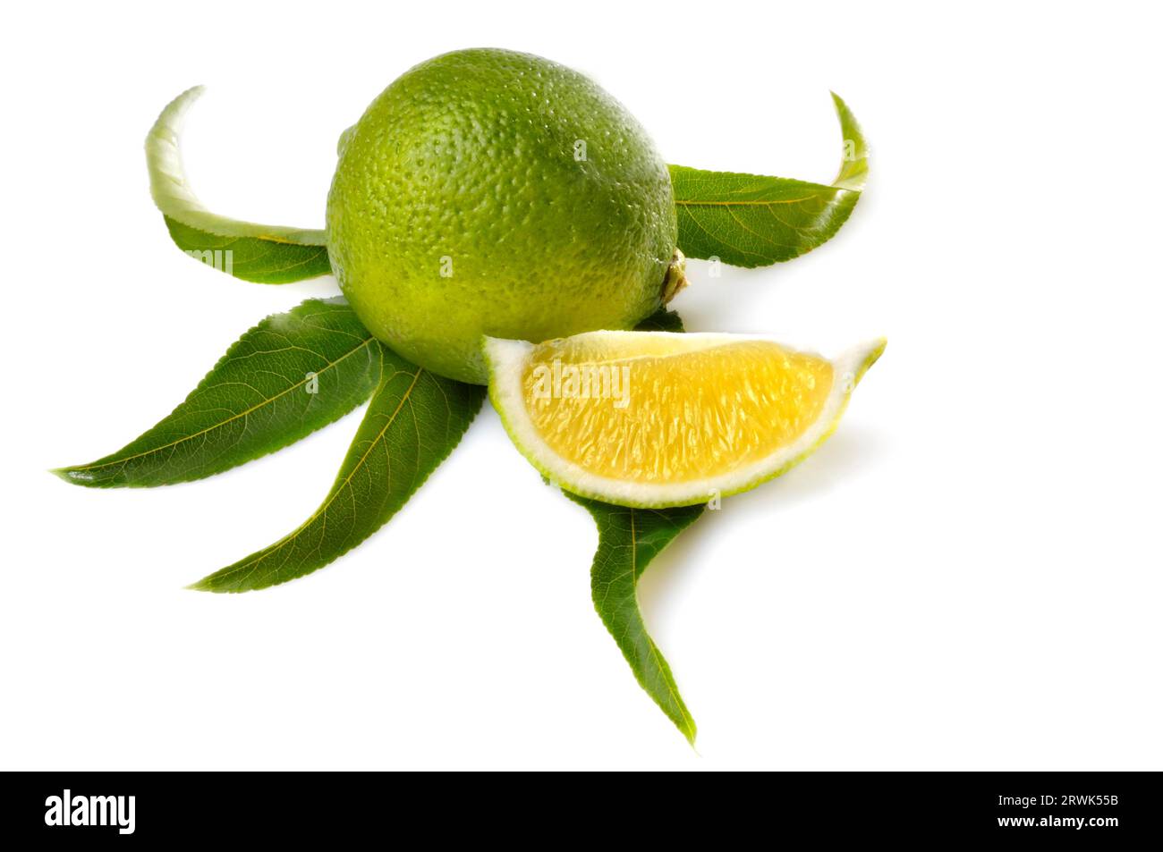 Whole lime wedge on Cut Out Stock Images & Pictures - Alamy