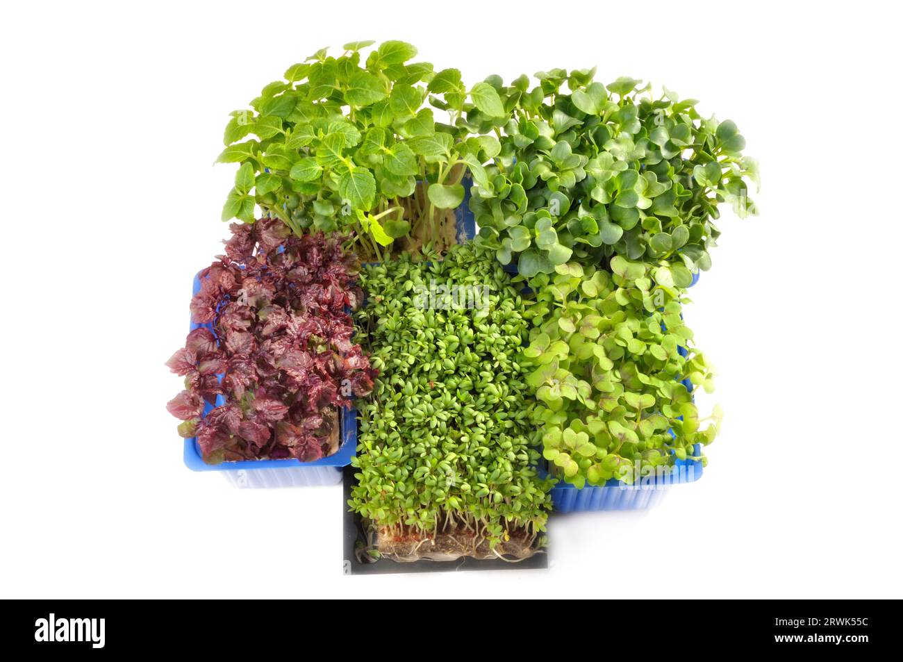 Cress Cut Out Stock Images & Pictures - Alamy