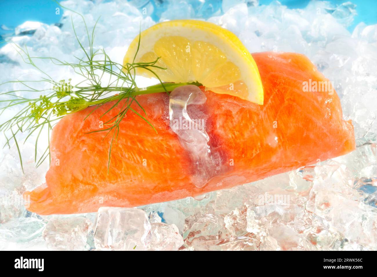 Wild salmon fillet on ice Stock Photo - Alamy
