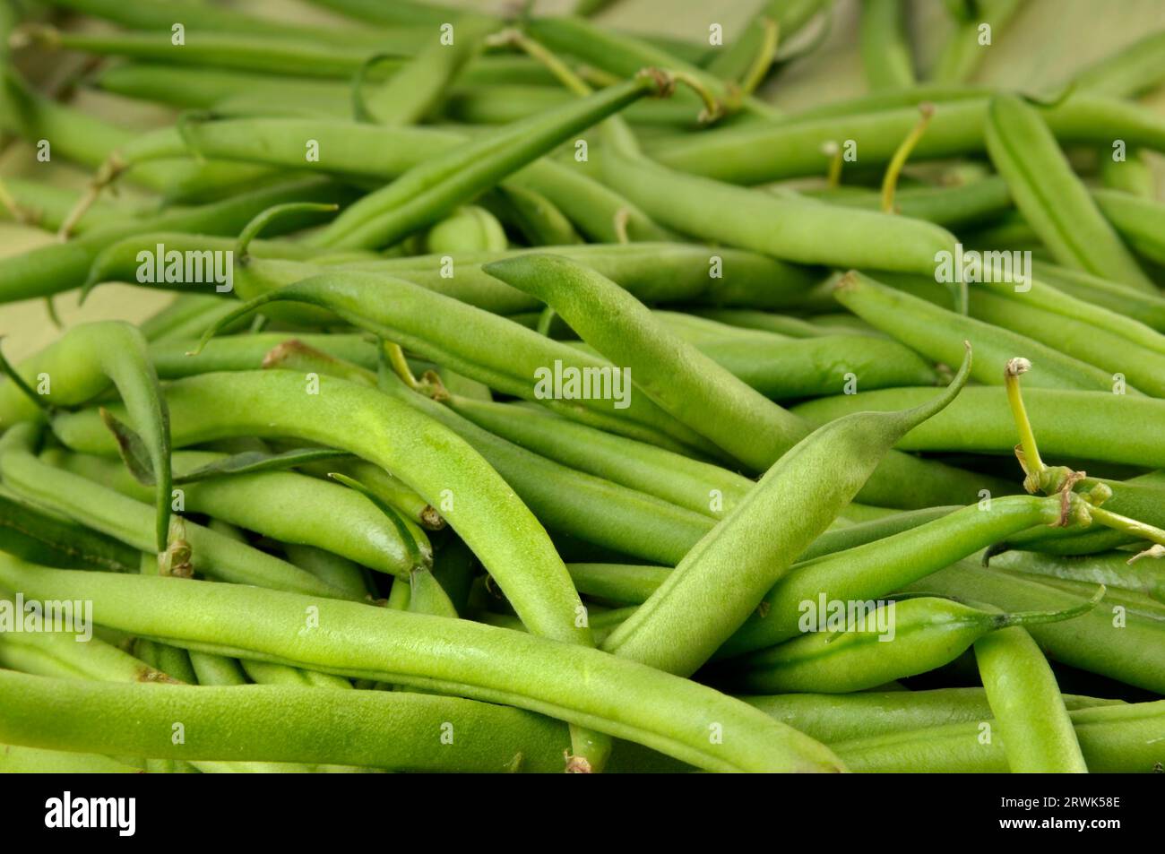 Fresh French beans Stock Photo - Alamy