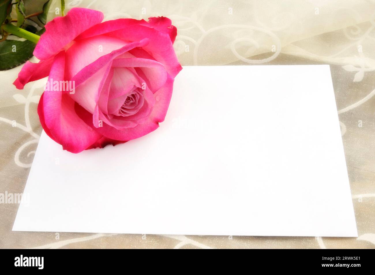 Letter with rose Stock Photo - Alamy