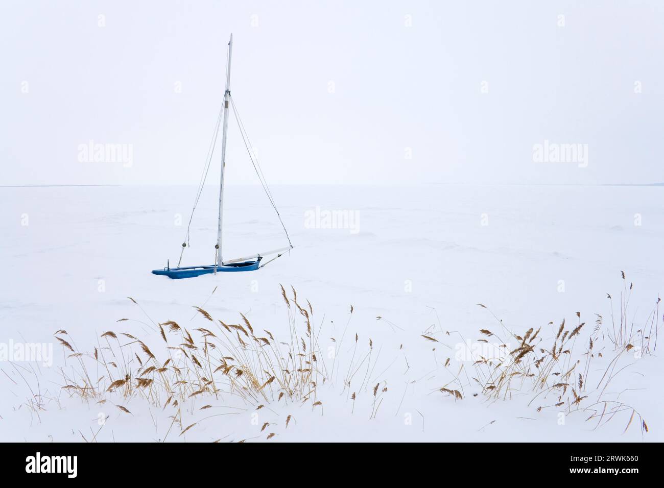 Frozen sailboat covered with snow at Saaler Bodden, Fischland-Darss ...
