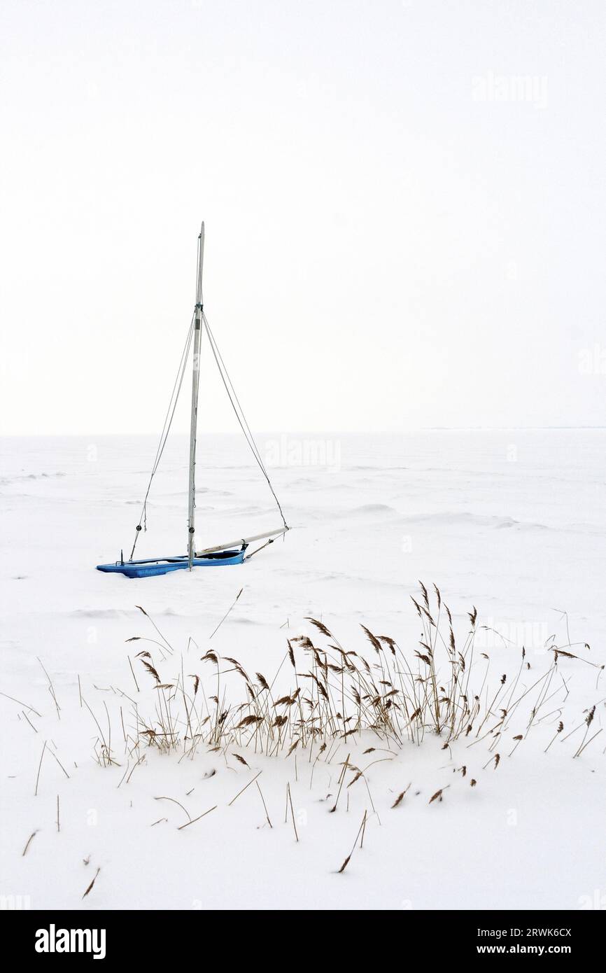 Frozen sailboat covered with snow at Saaler Bodden, Fischland-Darss ...