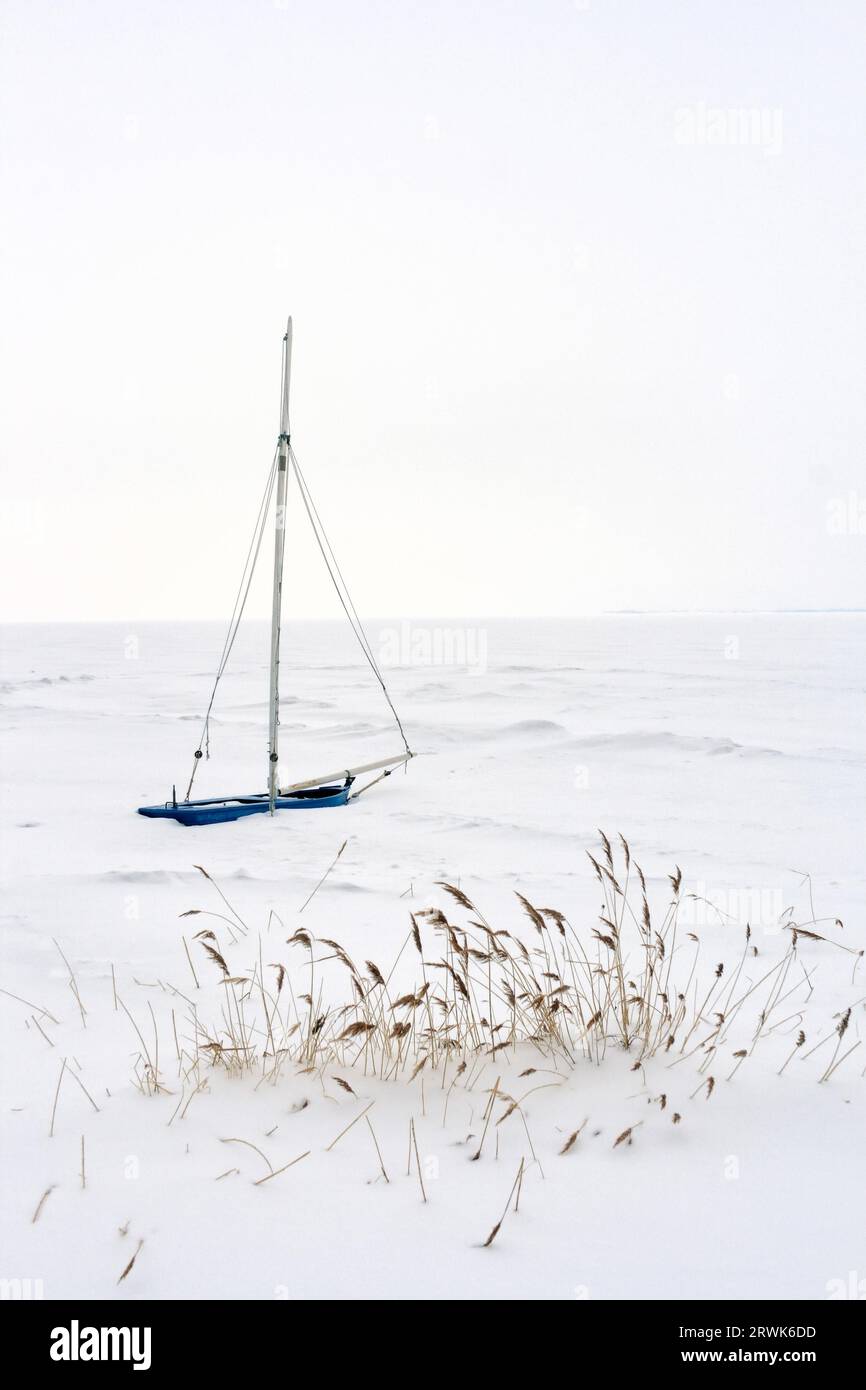 Frozen sailboat covered with snow on the Saaler Bodden, Daendorf ...