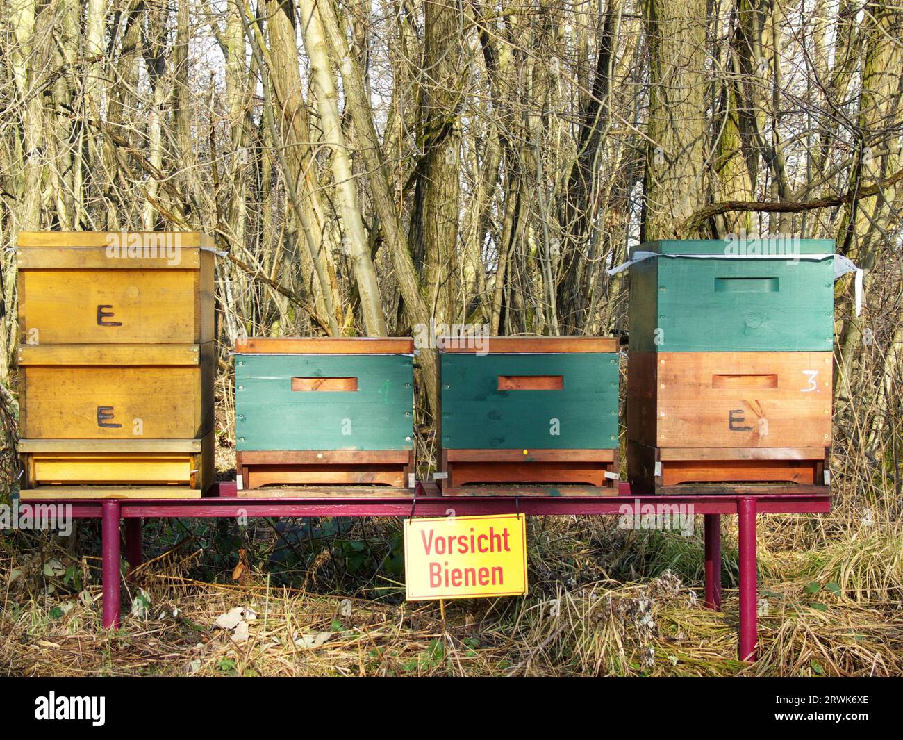 Four colourful bee boxes, in two different sizes, background trees ...