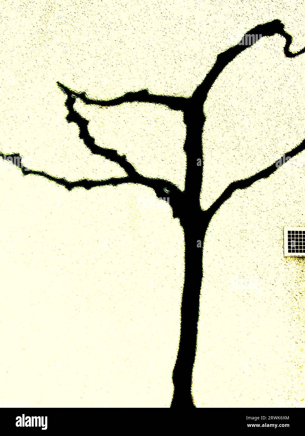 Tree branch shadows hi-res stock photography and images - Alamy