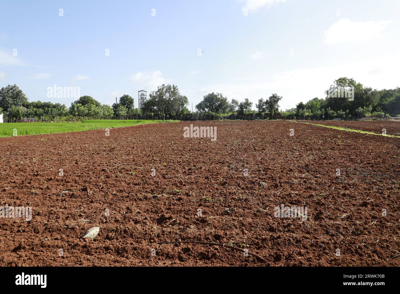 Mud Texture in the fields Stock Photo - Alamy