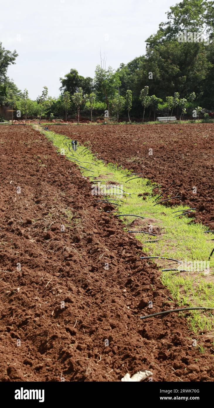 Mud Texture in the fields Stock Photo - Alamy