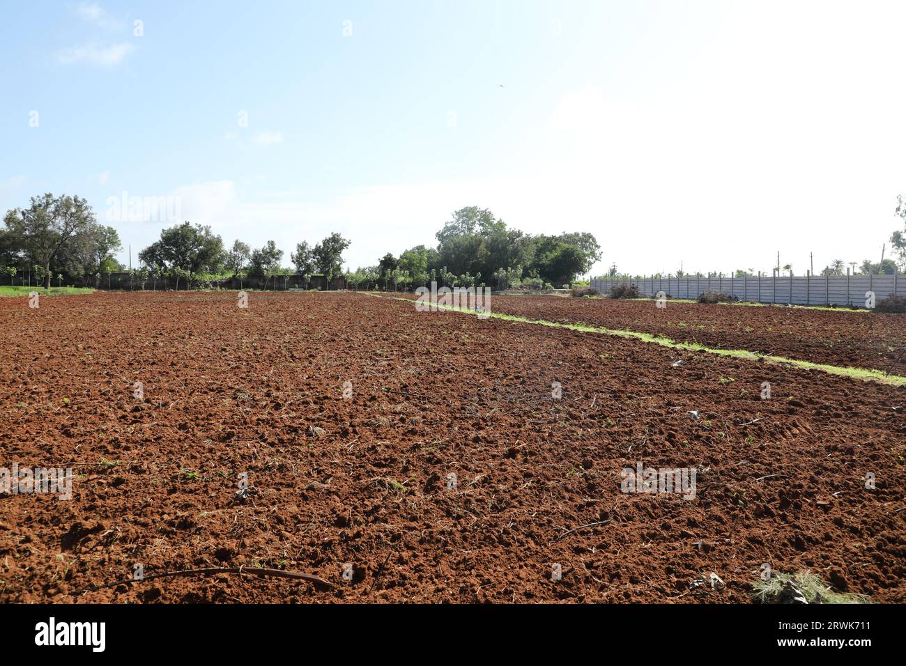 Mud Texture in the fields Stock Photo - Alamy