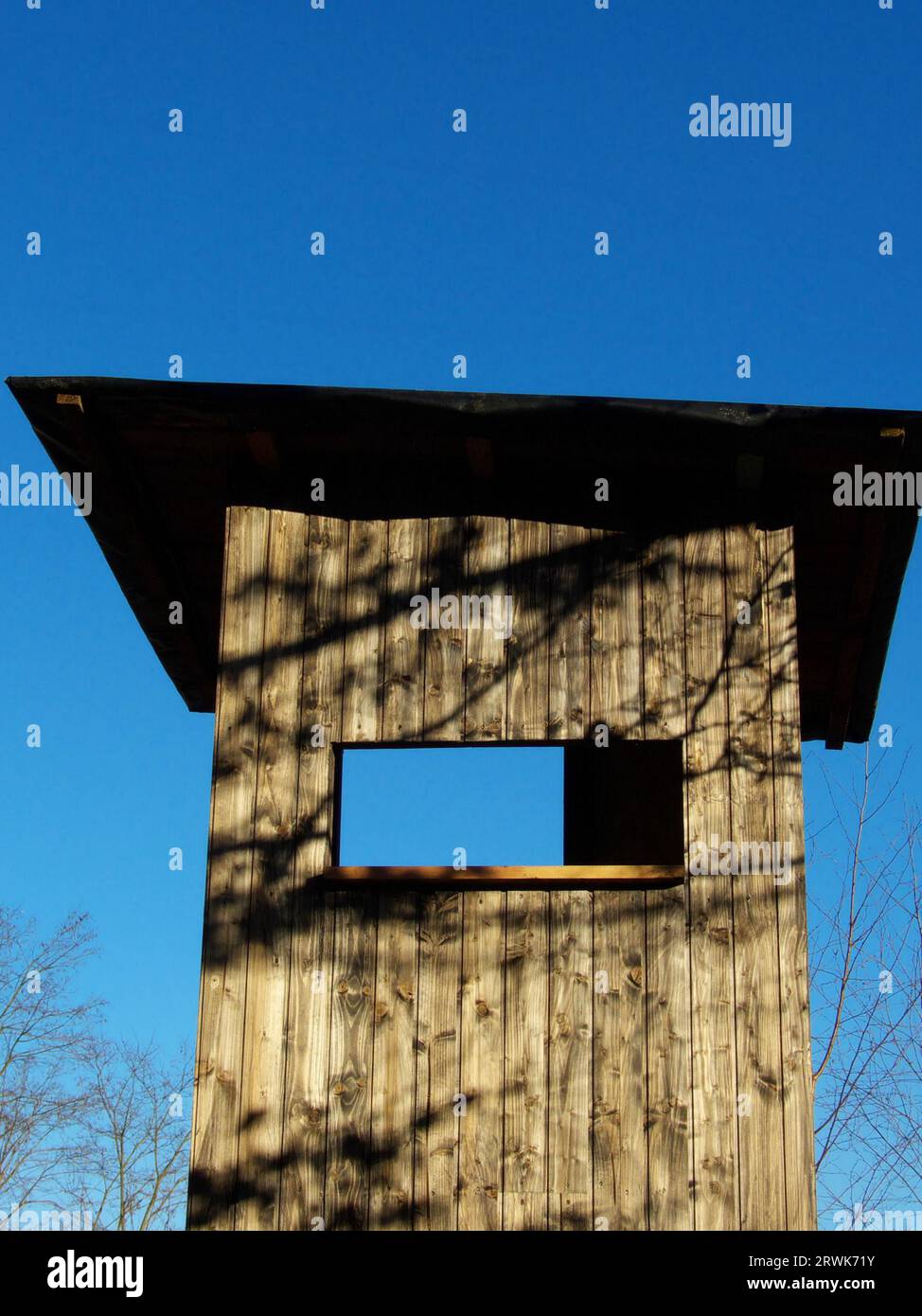 Tree framed by sky hi-res stock photography and images - Alamy