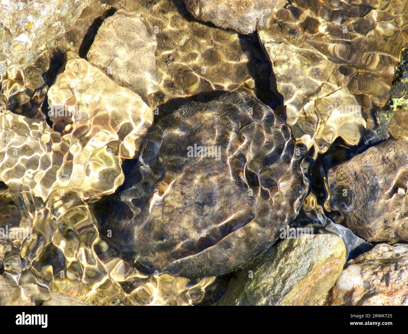 A stream flowing over pebbles of different sizes and colours, format ...