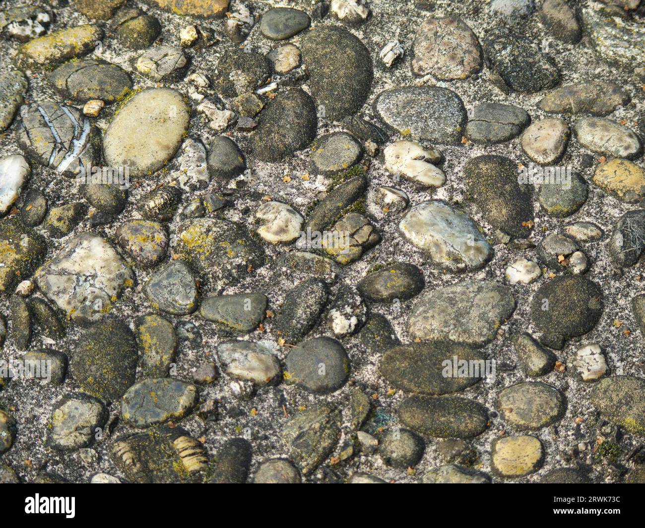 Rare frame hi-res stock photography and images - Alamy