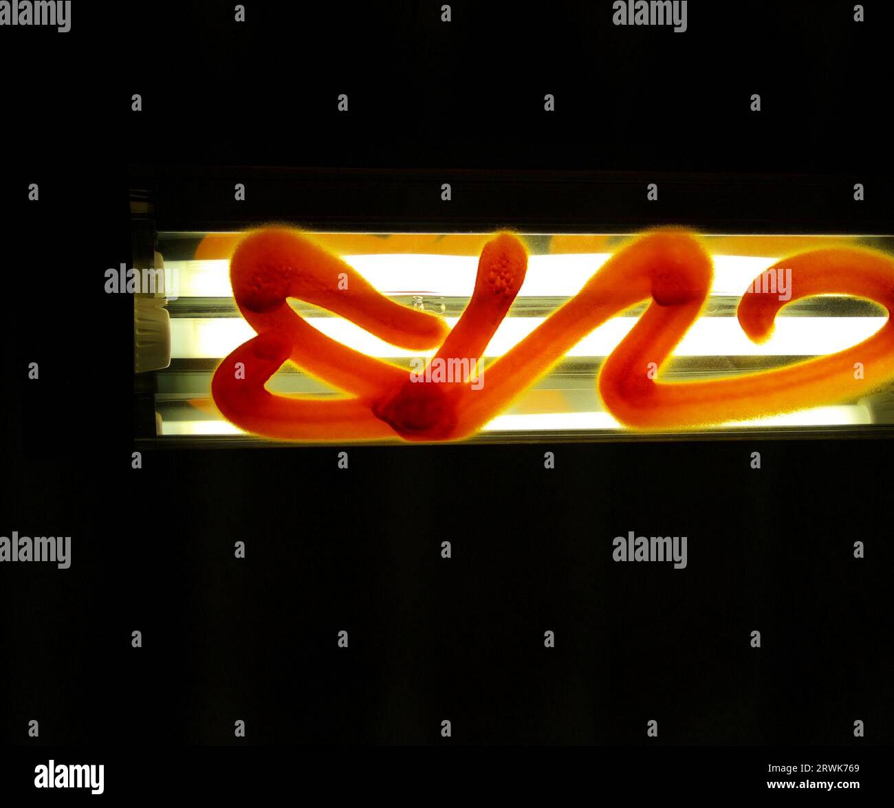 Graffiti on wall and street lamp hi-res stock photography and images ...