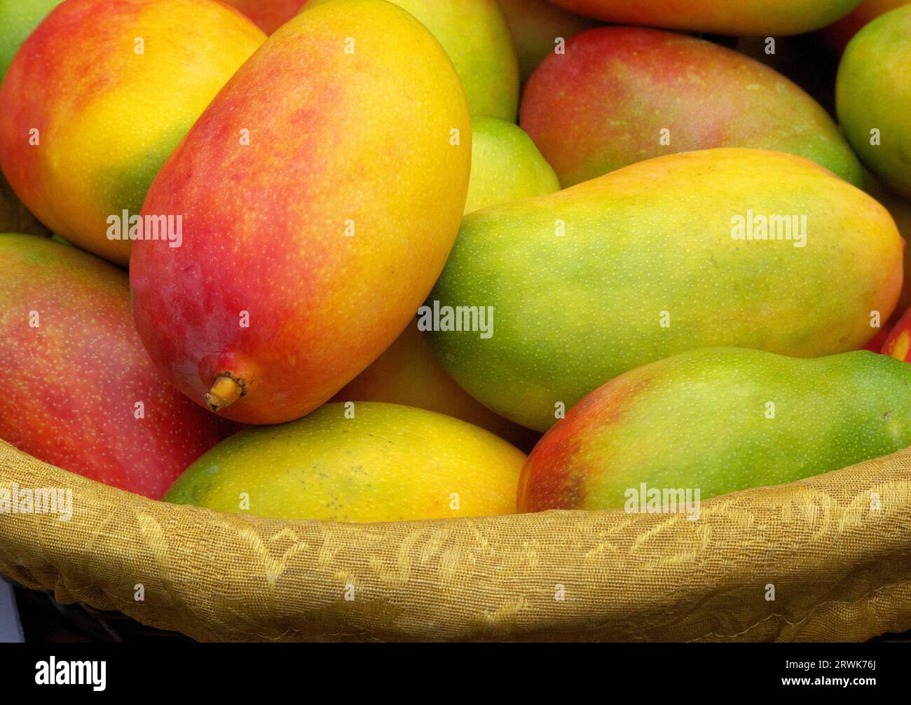 Several ripe mangoes in a raffia basket, filling the format Stock Photo ...
