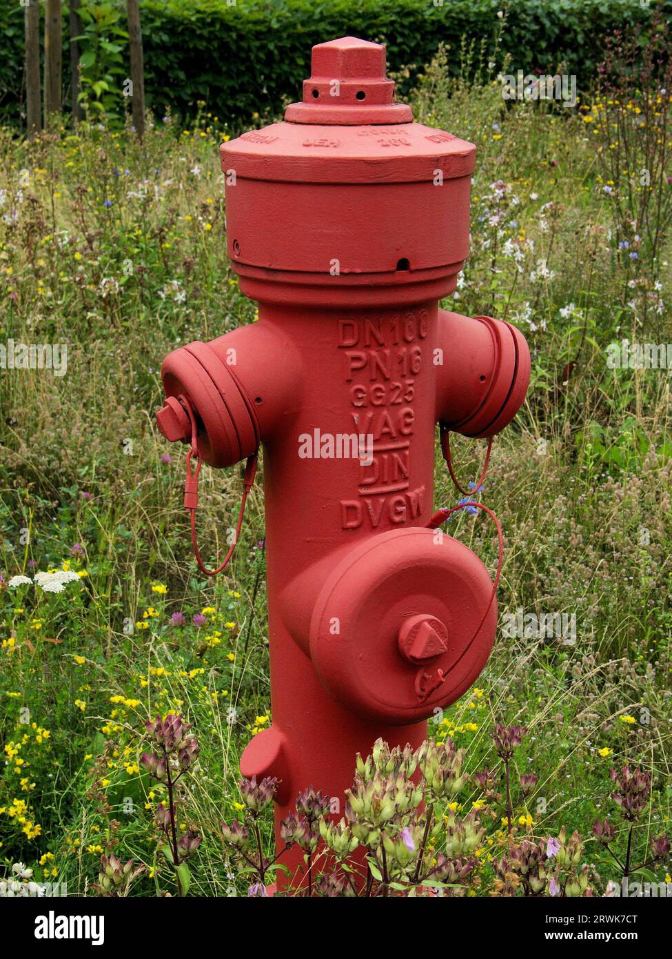 Red surface hydrant, background colourful meadow Stock Photo - Alamy