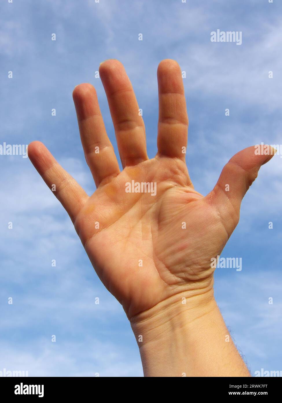 Outstretched hand as hand signal, take five, background blue-white sky ...