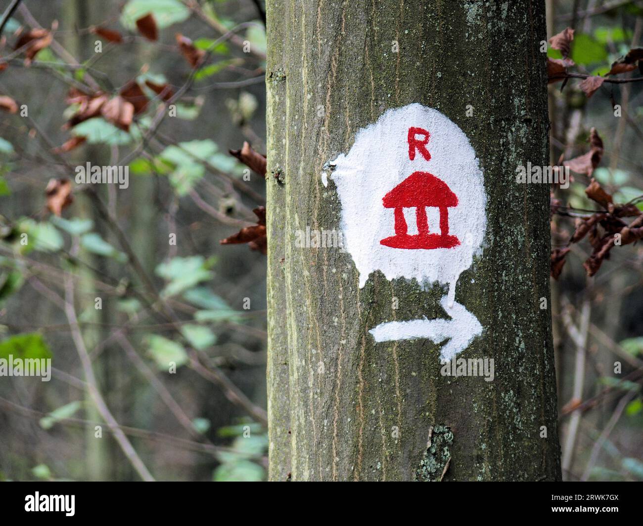Signpost, red on white, on a deciduous tree, path to the next hut ...