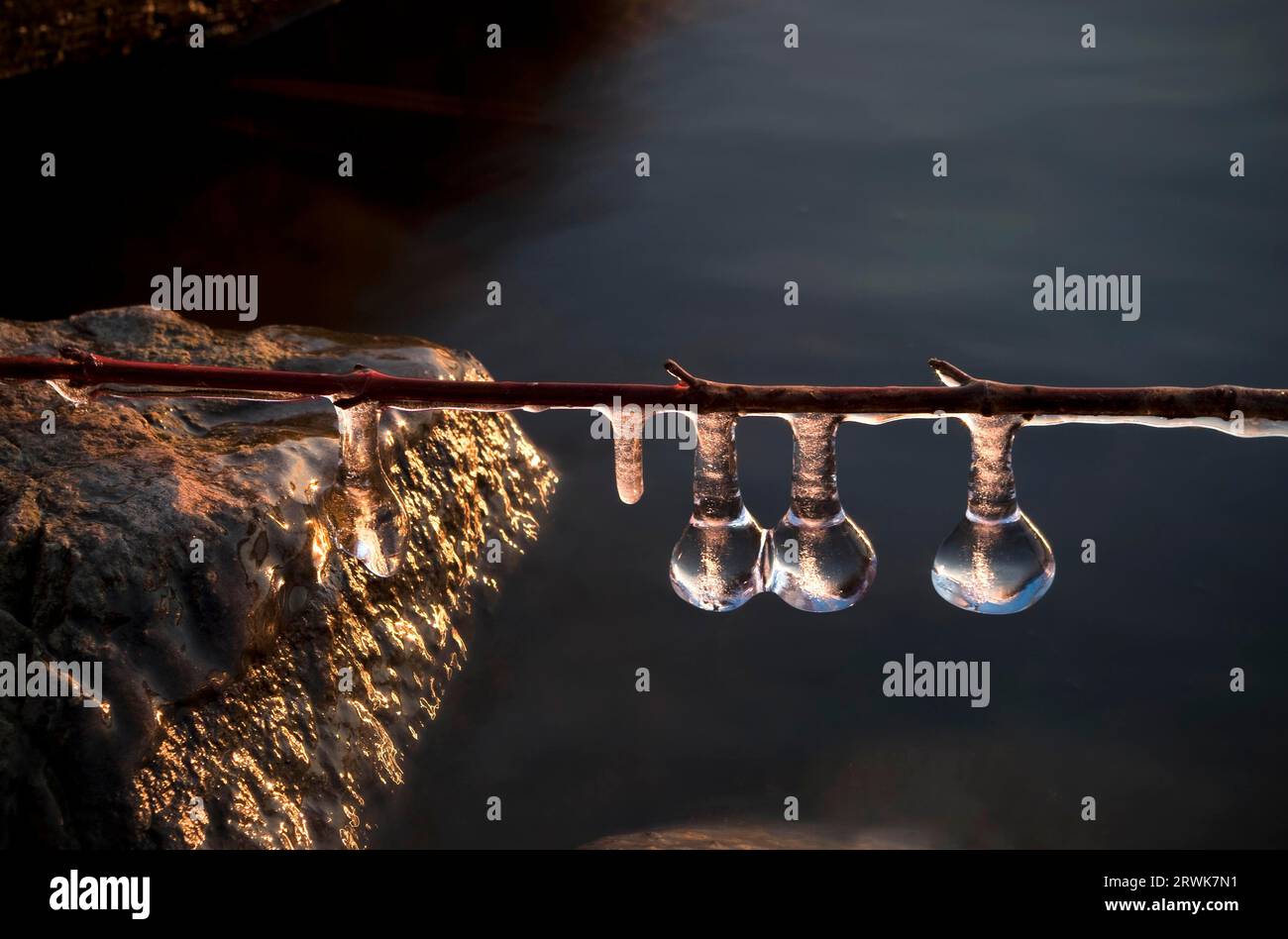 3 Ice tears hanging from a branch above a river Stock Photo - Alamy
