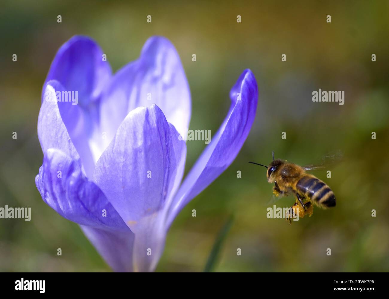 Exterior approach hi-res stock photography and images - Alamy